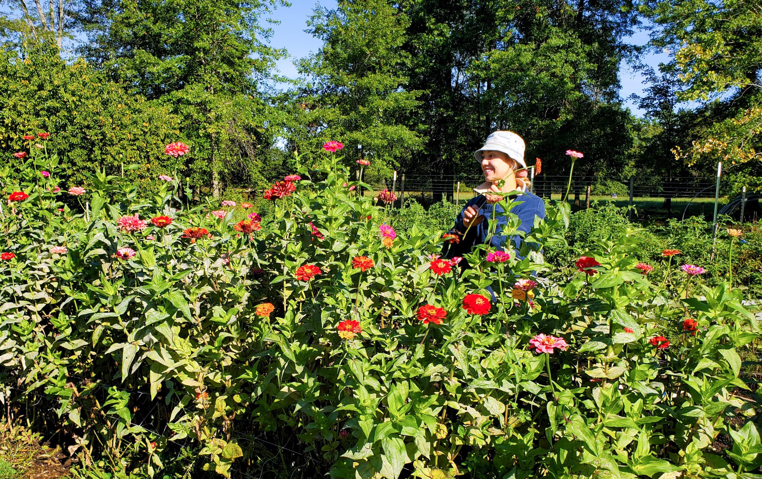 Summer 2021 Update - Greenacres Foundation